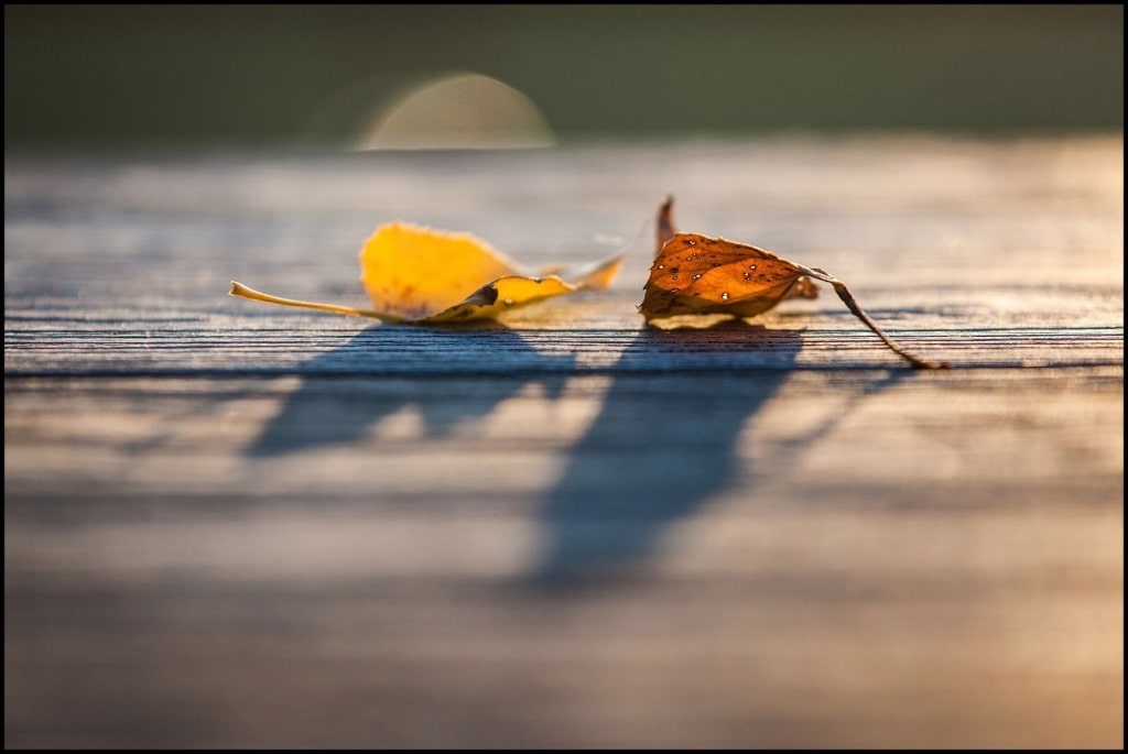 Impressum - fraeulein-leni.com