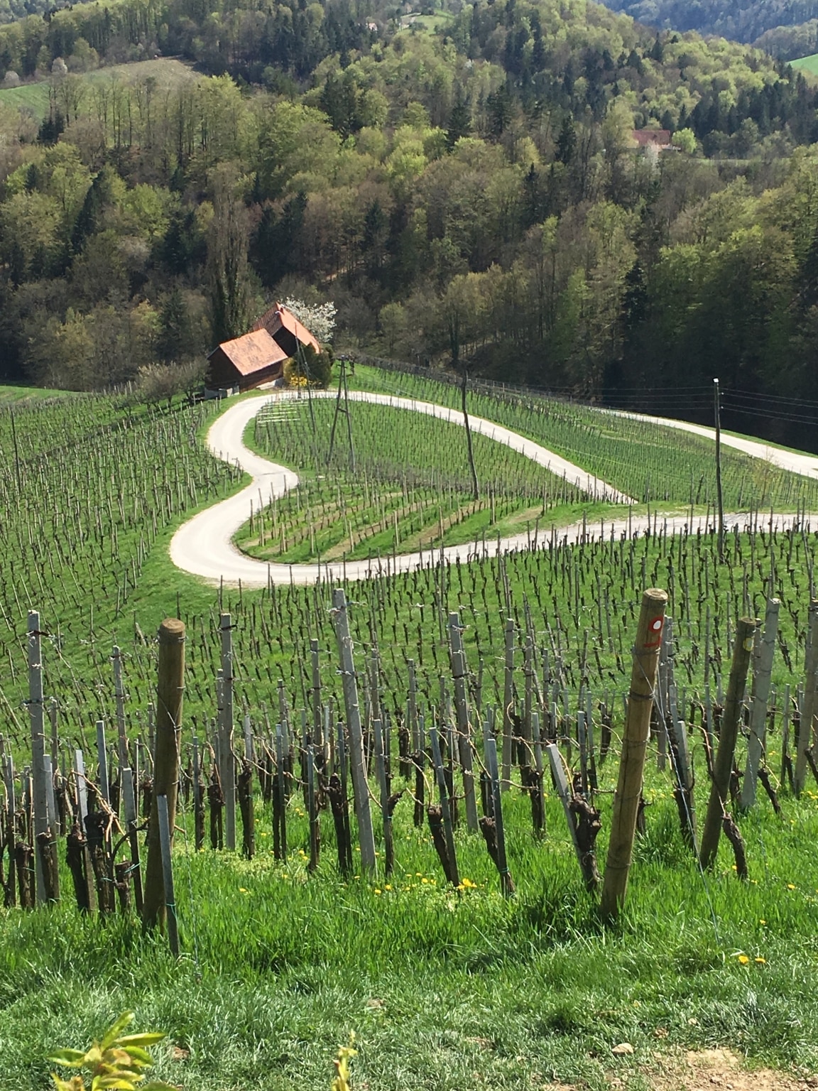 Zu Fuß unterwegs - fraeulein-leni.com