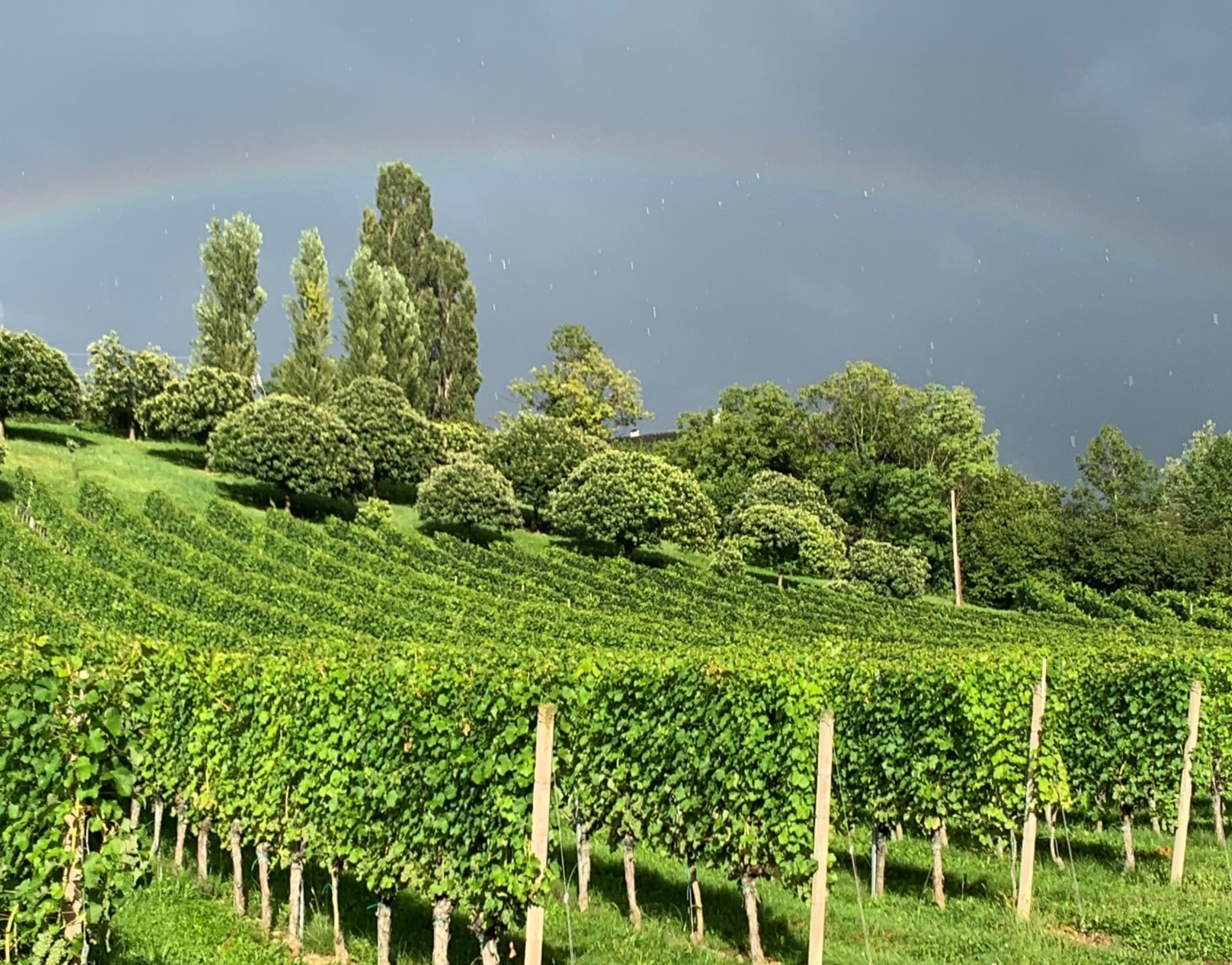 Ort - fraeulein-leni.com